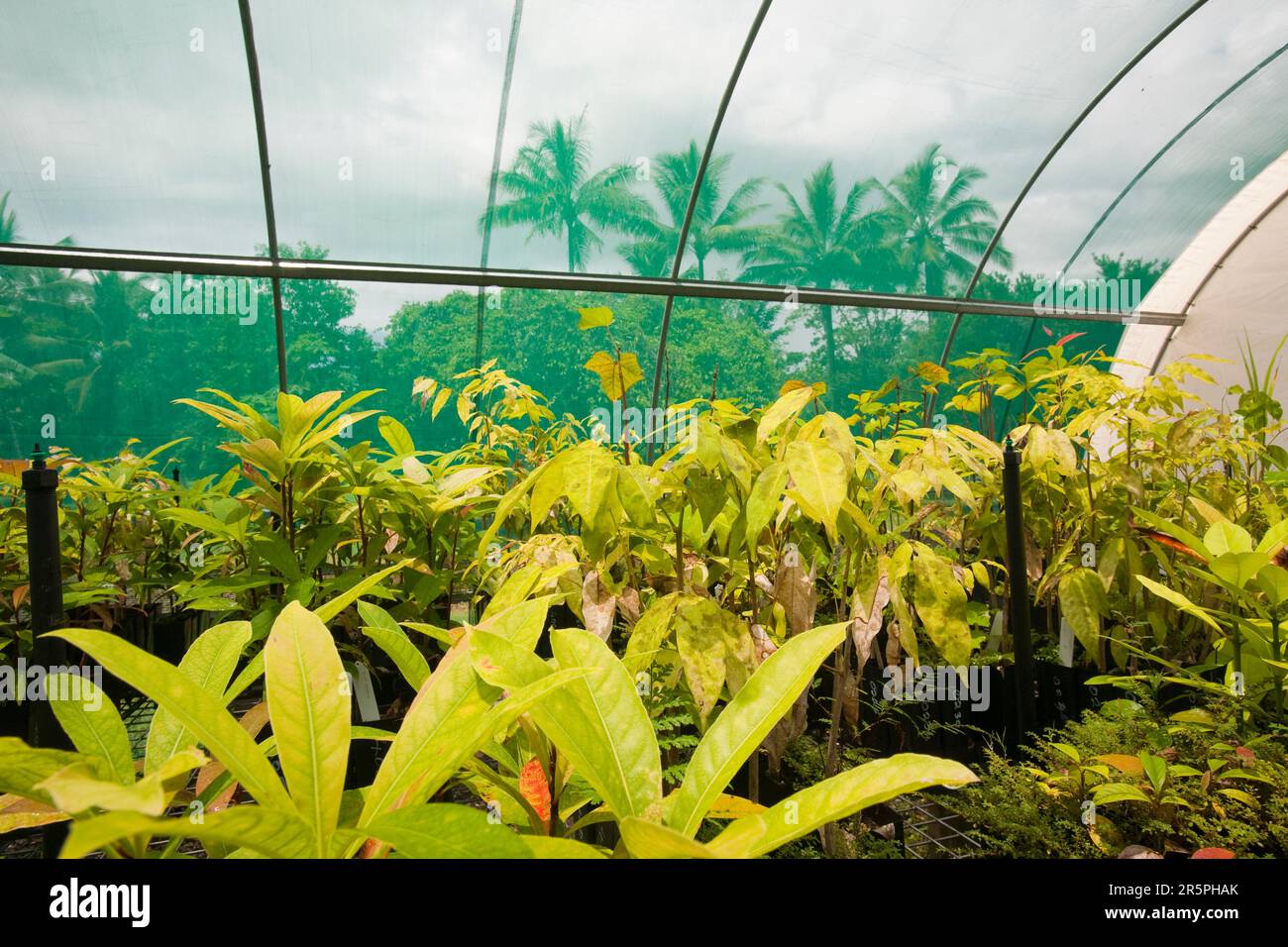 The Headquarters of the Australian Rainforest Foundation in the ...