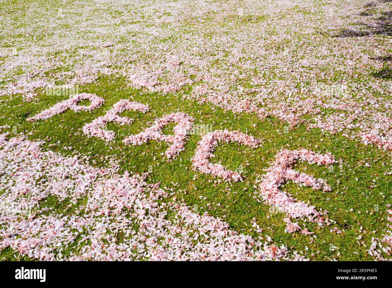 Peace word art hi-res stock photography and images - Alamy