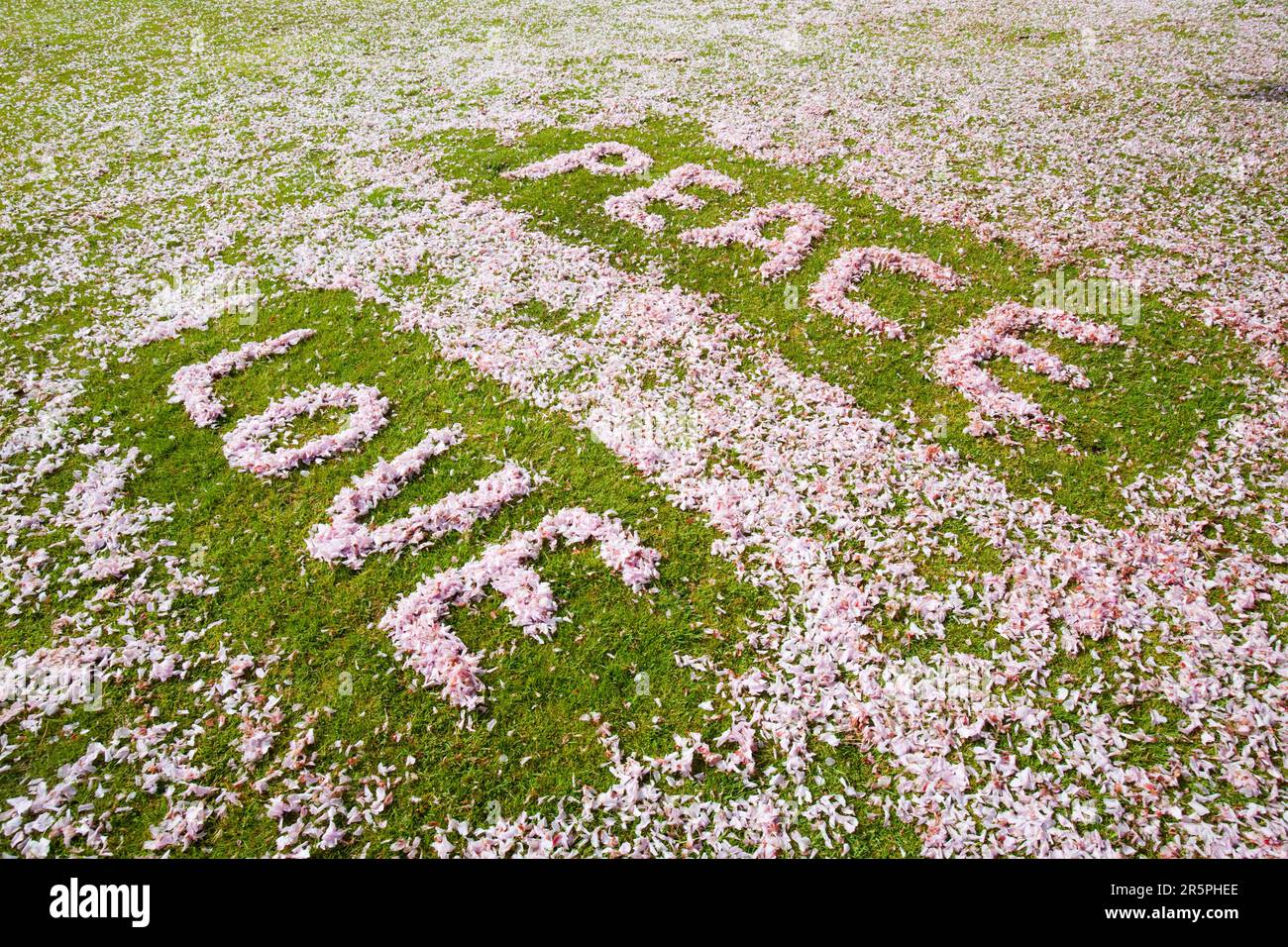 Peace word art hi-res stock photography and images - Alamy