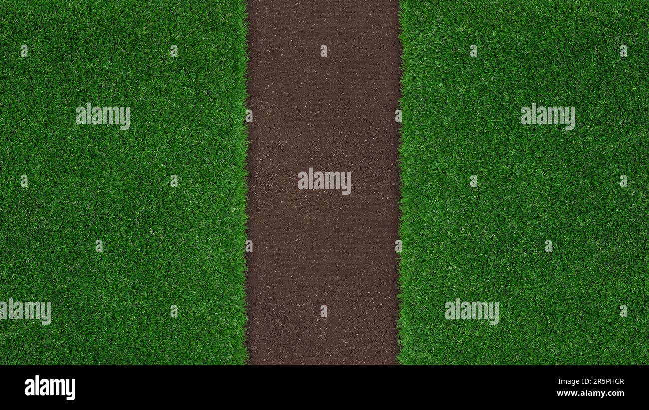 Meadow green grass surface and soil ground surface. Turf and terrain ...