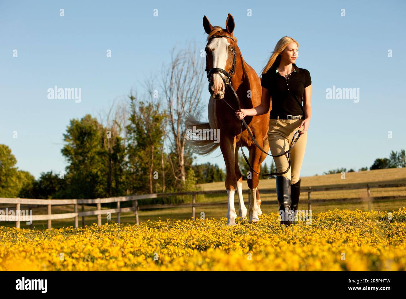 A woman walks a horse in a flowered stable during a lifestyle shoot at ...