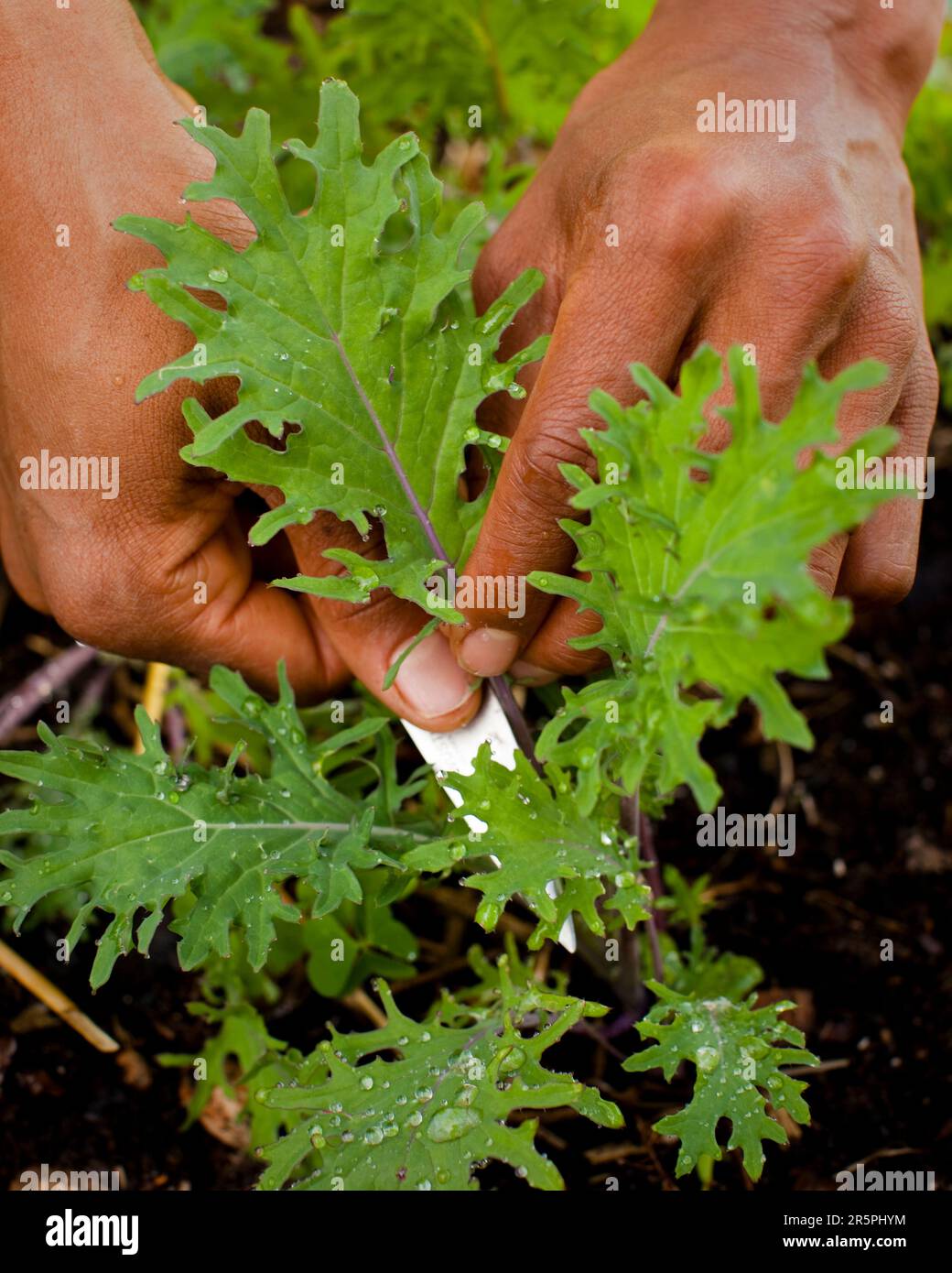 Minneapolis growth hi-res stock photography and images - Alamy
