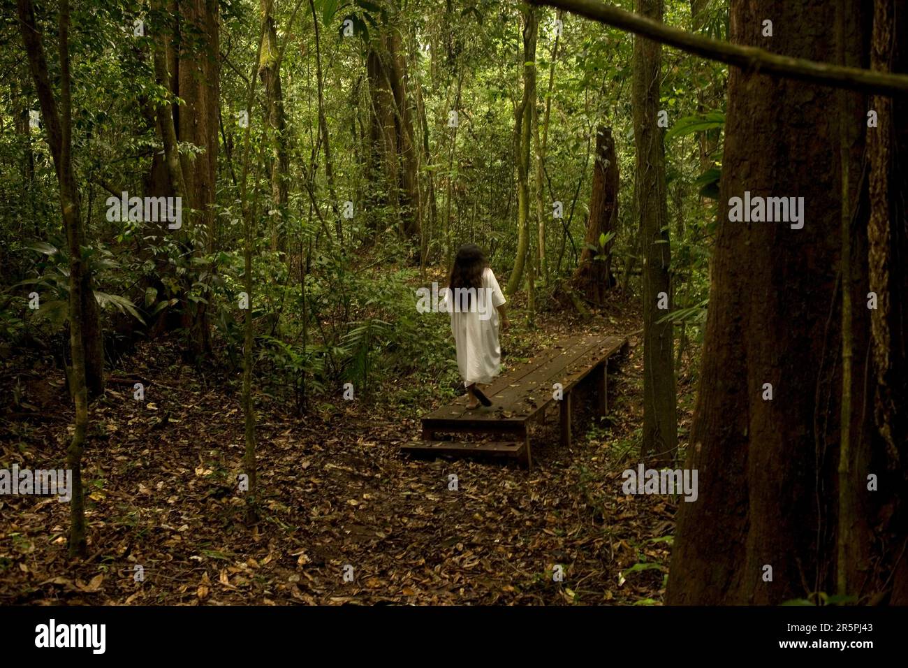 A Lacandon indigenous man walks along a path in the Lacandon Forest in ...
