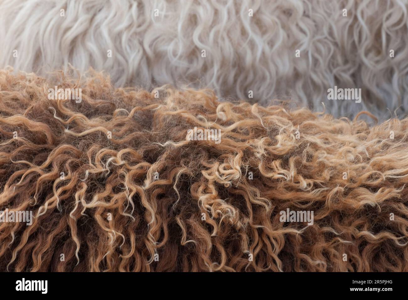 Ilua hi-res stock photography and images - Alamy