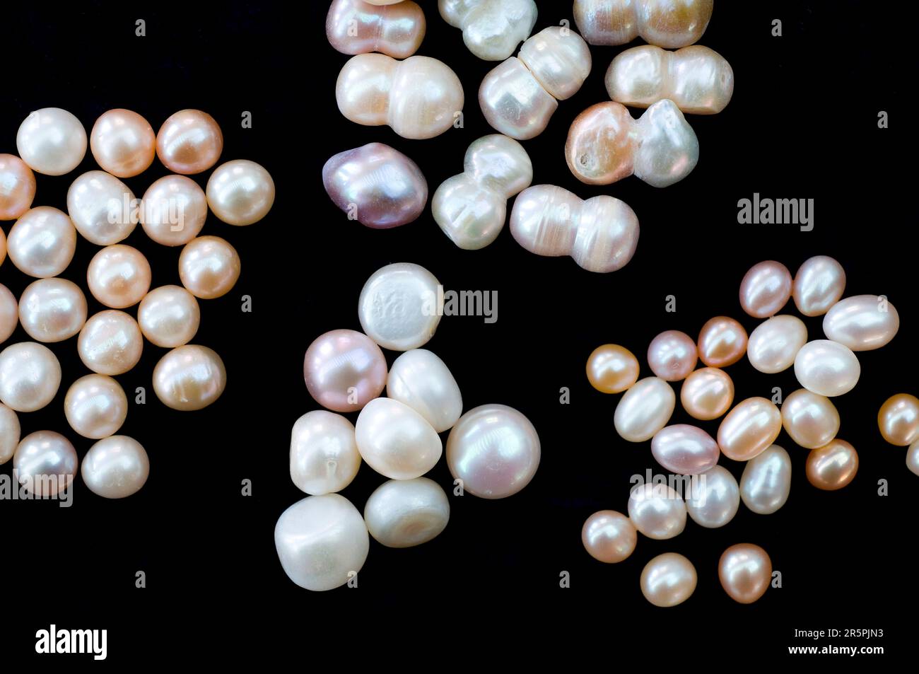 Freshwater Cultured Pearl industry Stock Photo - Alamy
