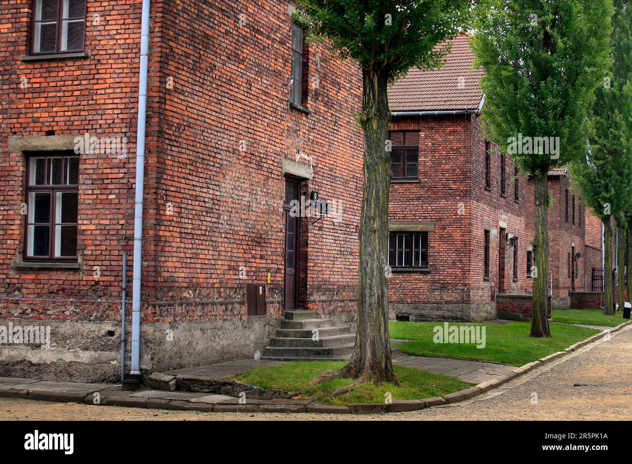 Camp buildings (Block 8 in the foreground) in the Auschwitz ...