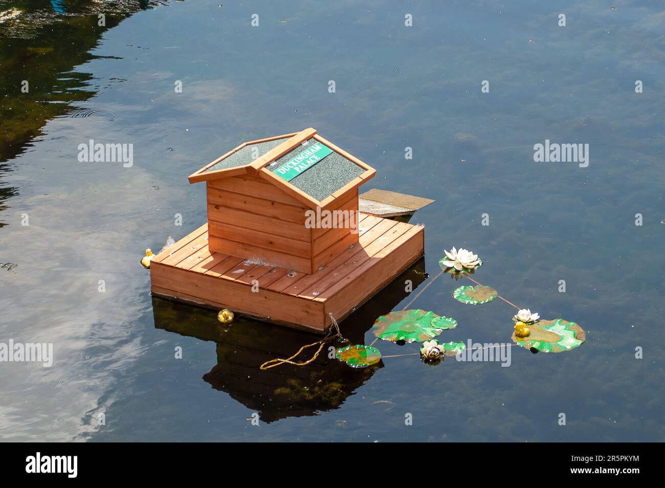 Duckingham palace hi-res stock photography and images - Alamy