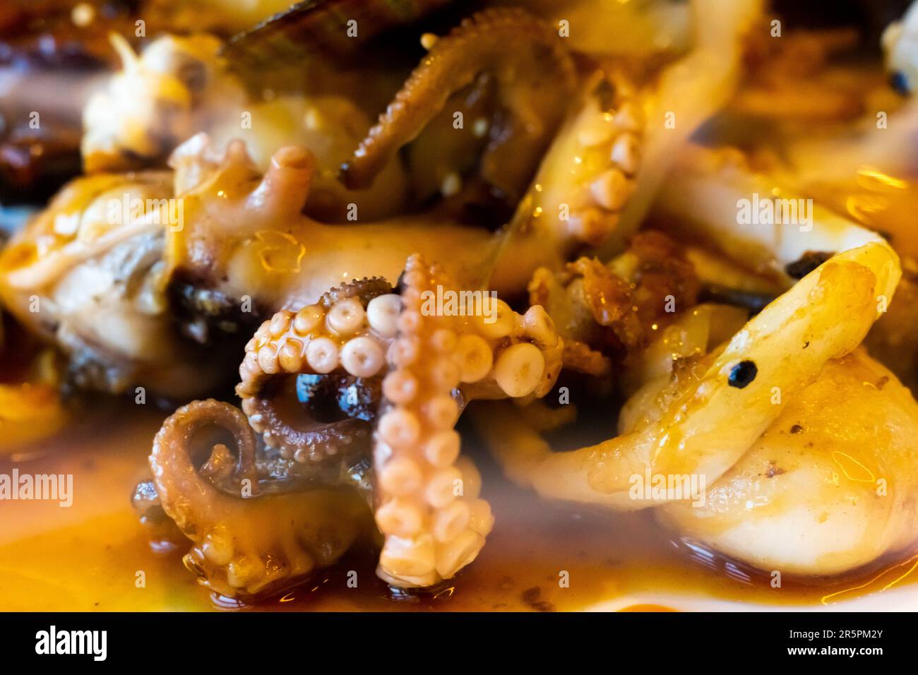 Grilled octopus closeup with another seafood with herbs and spices. Top ...
