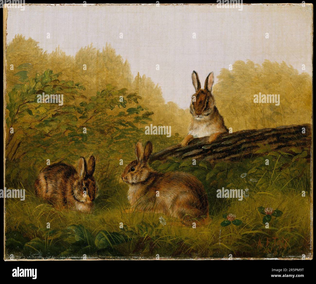 Tait artwork hi-res stock photography and images - Alamy
