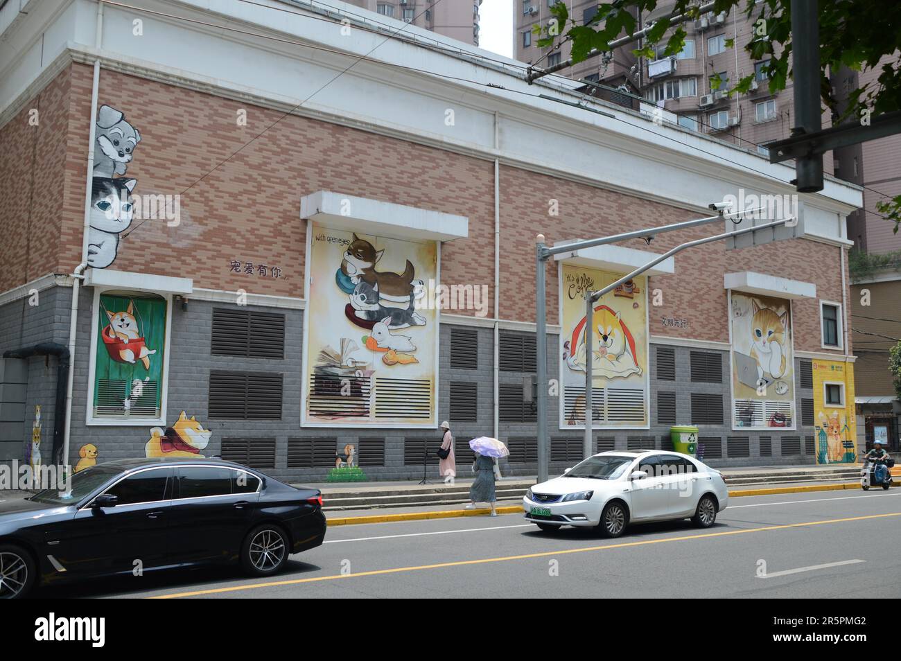 Dog murals on the walls on Wuding Road and Yanping Road draw people in ...