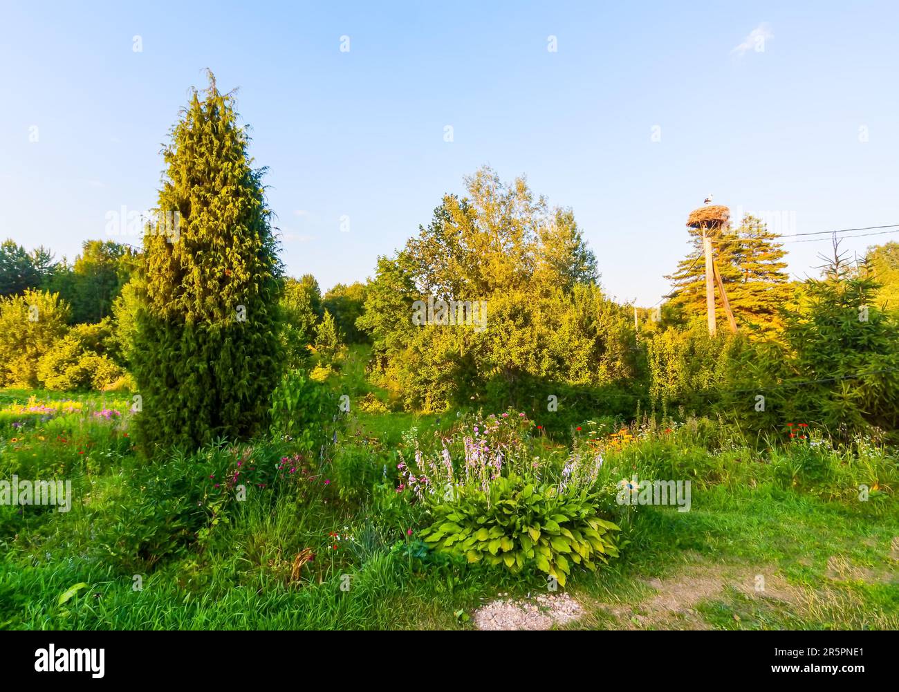 Latvian rural landscape. Summer nature in the countryside Stock Photo ...