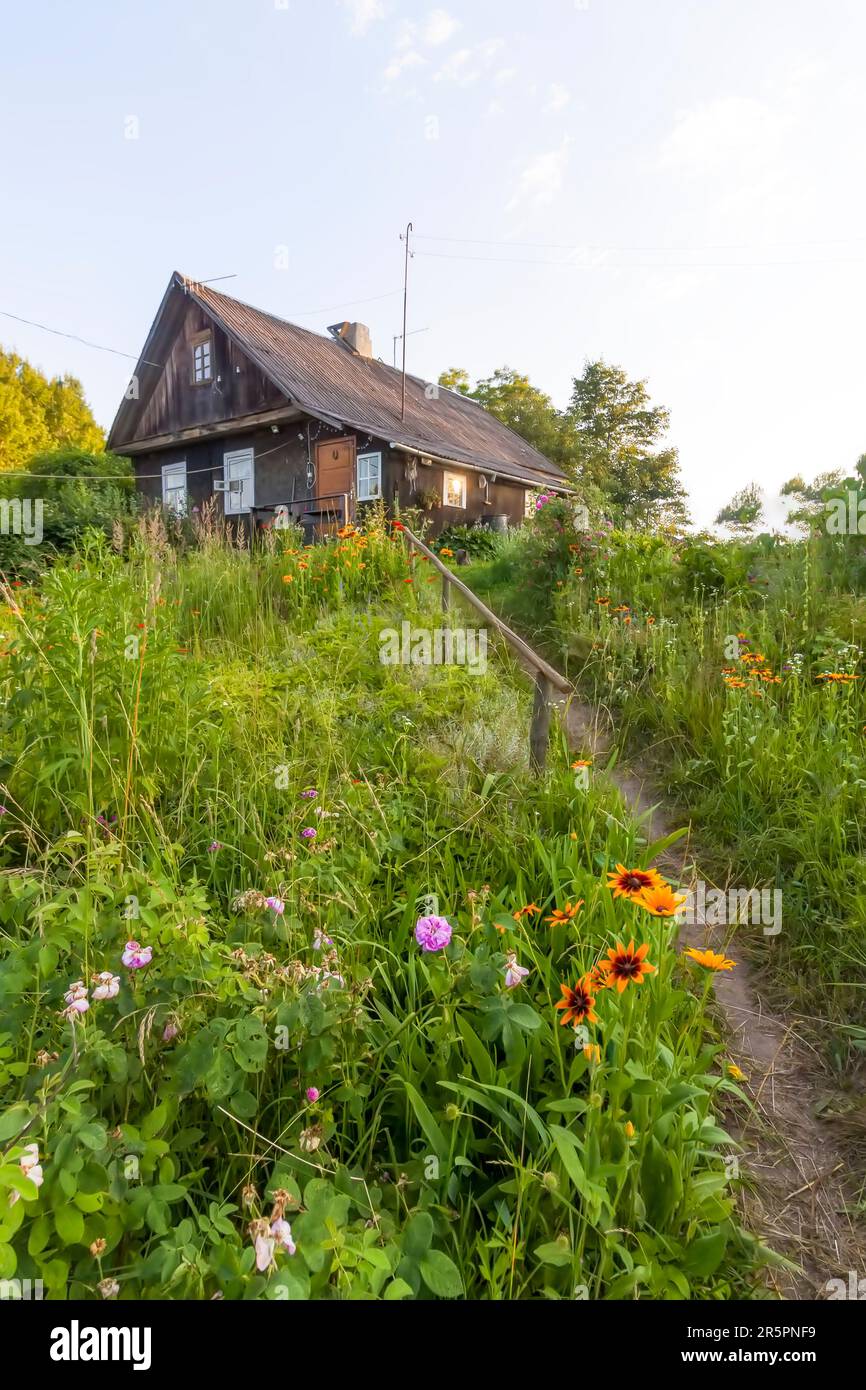 Latvian rural landscape. Summer nature in the countryside Stock Photo ...