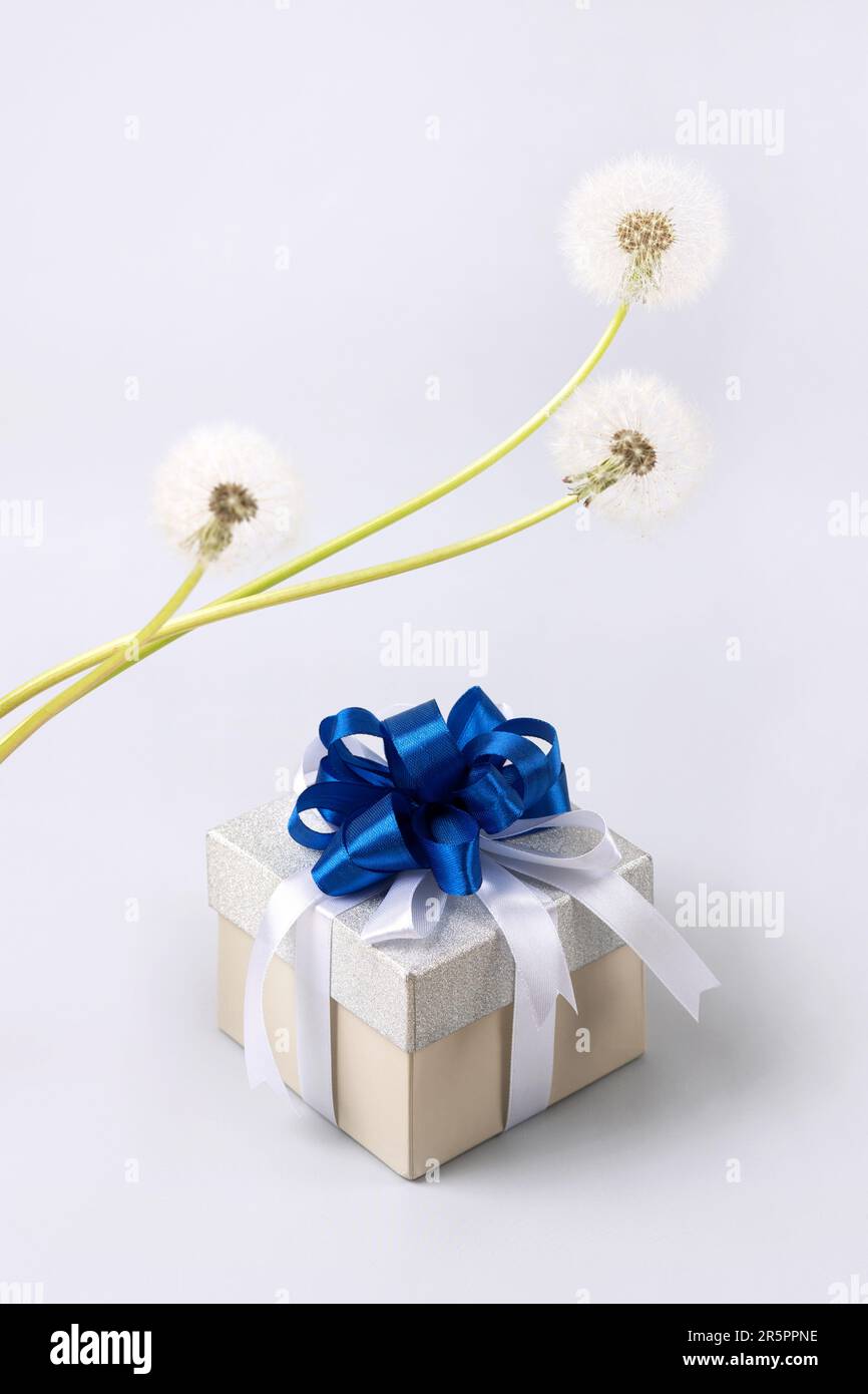 Silver gift box with blue bow and soft fluffy dandelions with white ...