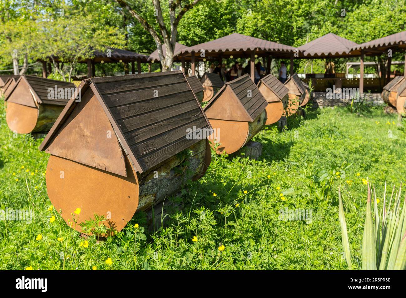 Hives with bees Stock Photo - Alamy