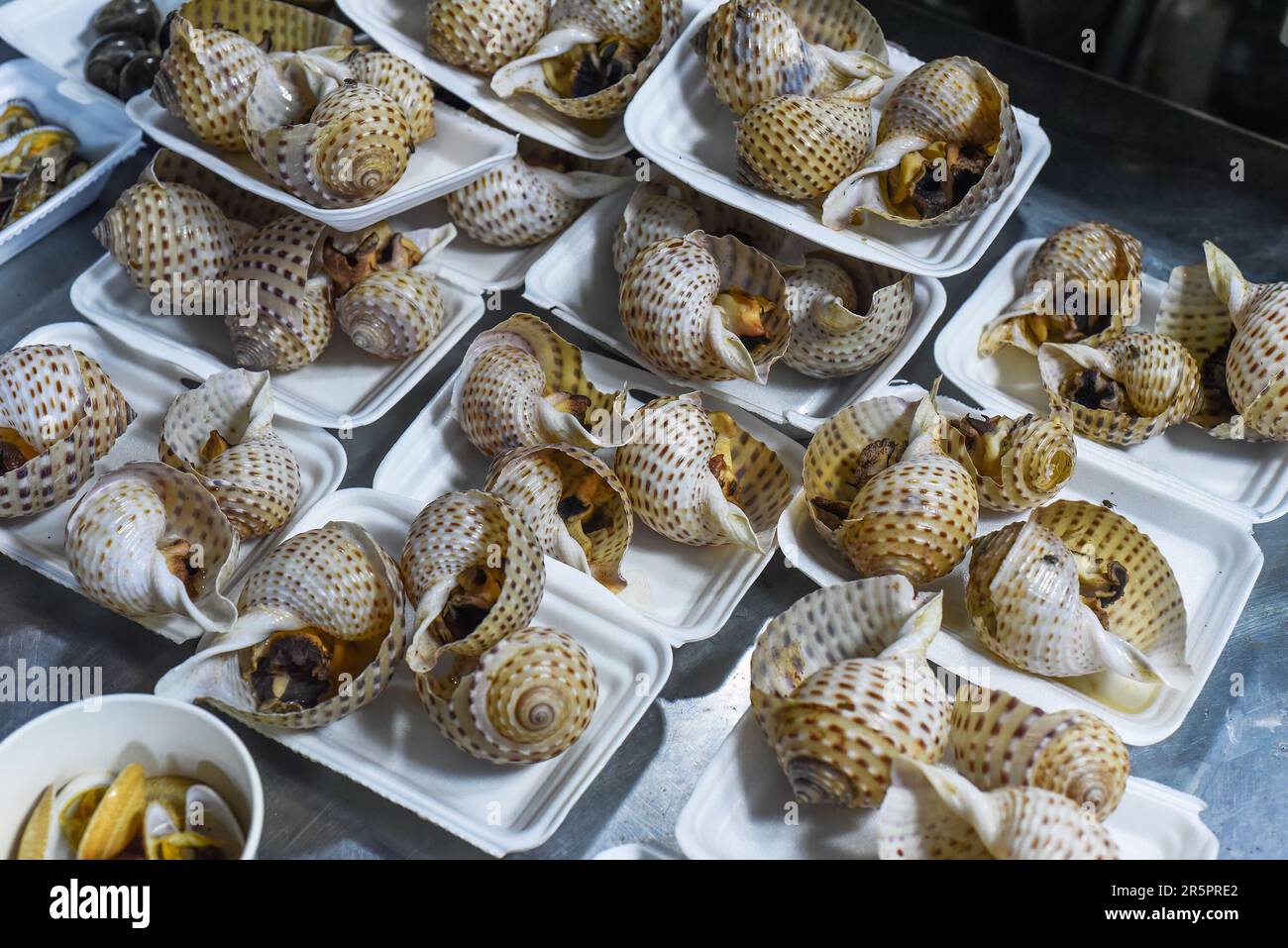 Vietnamese stewed seashells in sauce in the night market on food ...