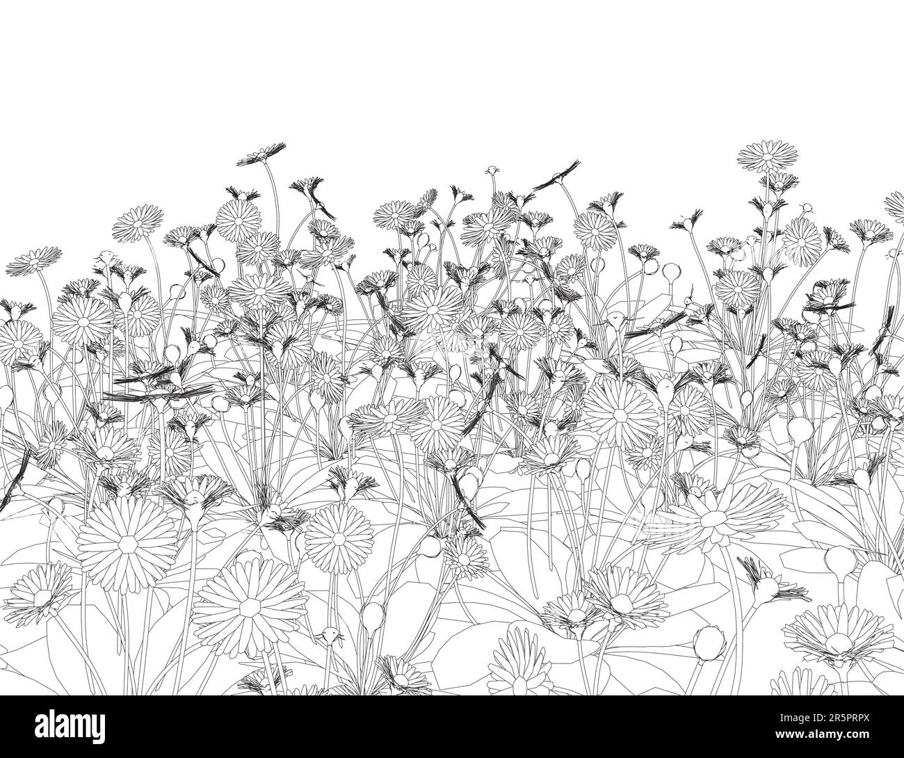 Set of differents flower linen on white background. Grass with herbs ...