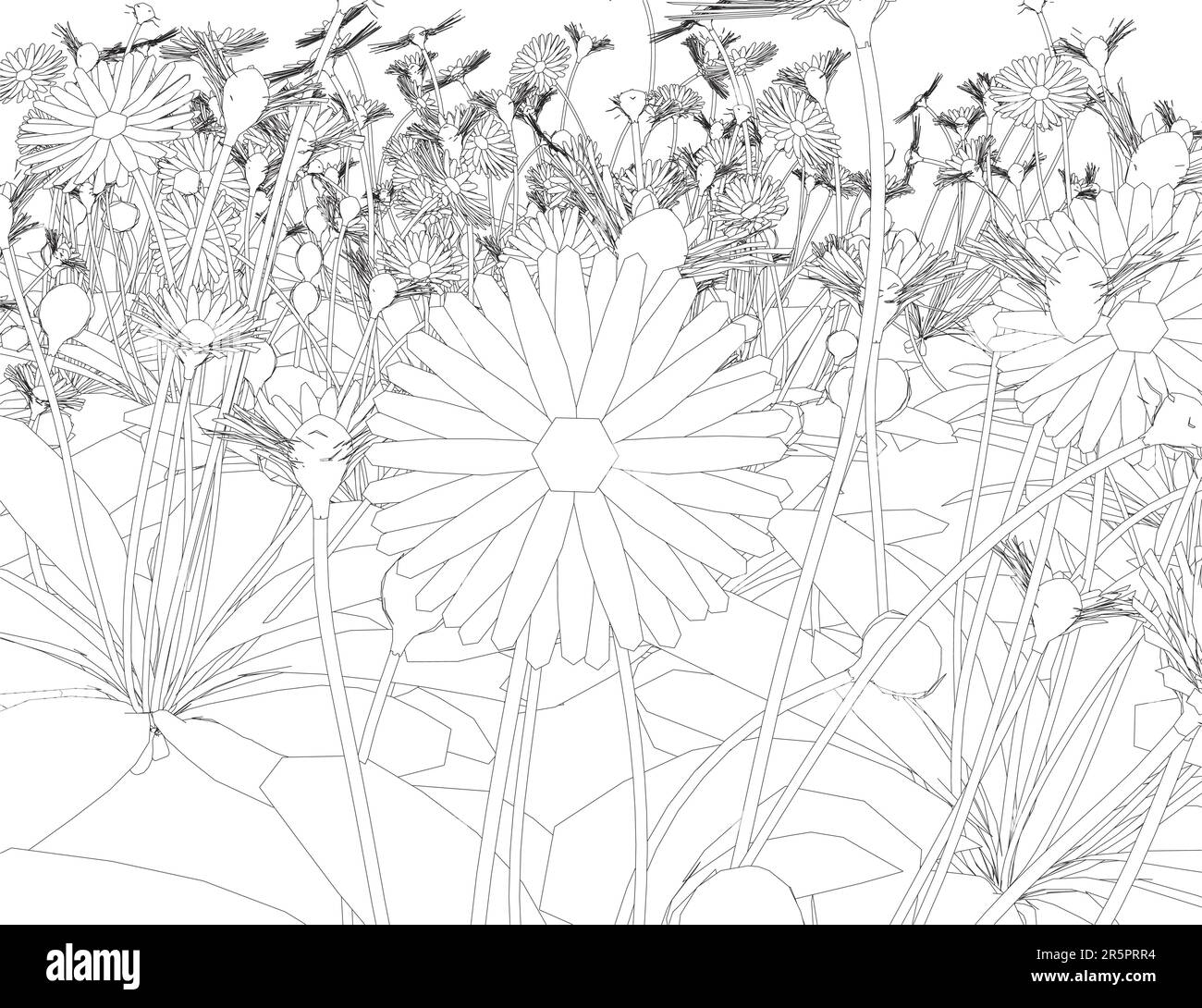Set of differents flower linen on white background. Grass with herbs ...