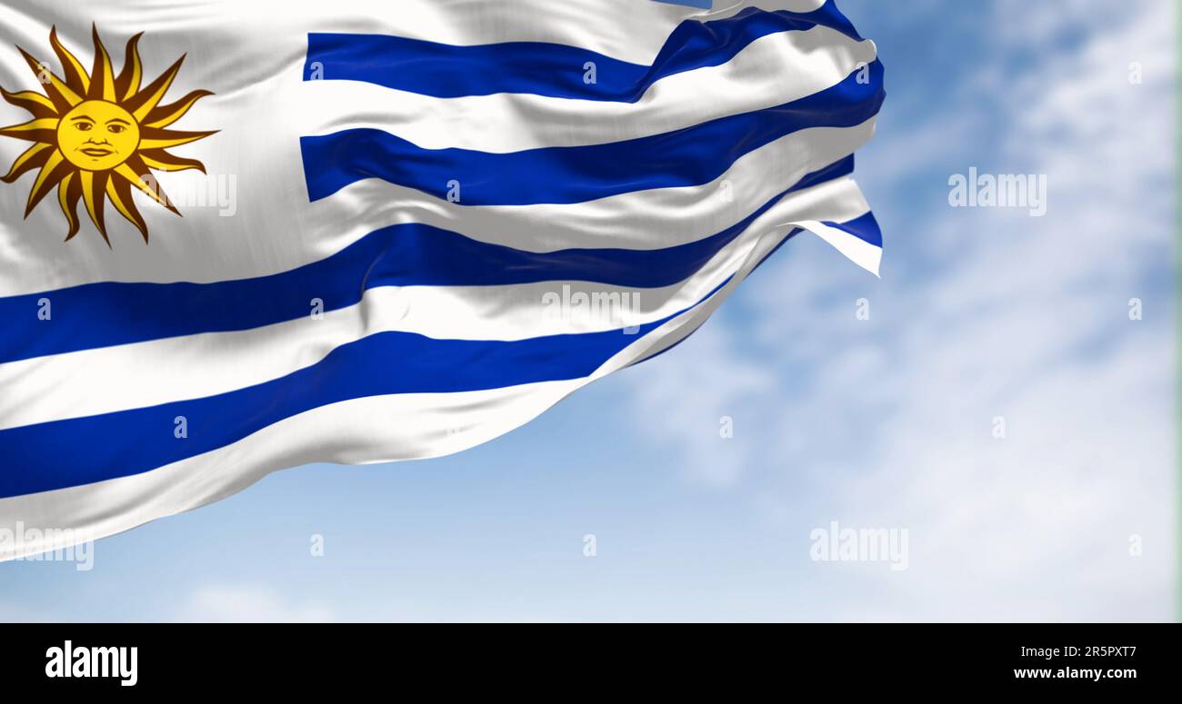 Uruguay national flag fluttering in the wind on a sunny day. 9 ...