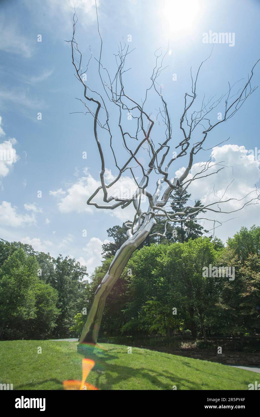 Crystal tree hi-res stock photography and images - Alamy
