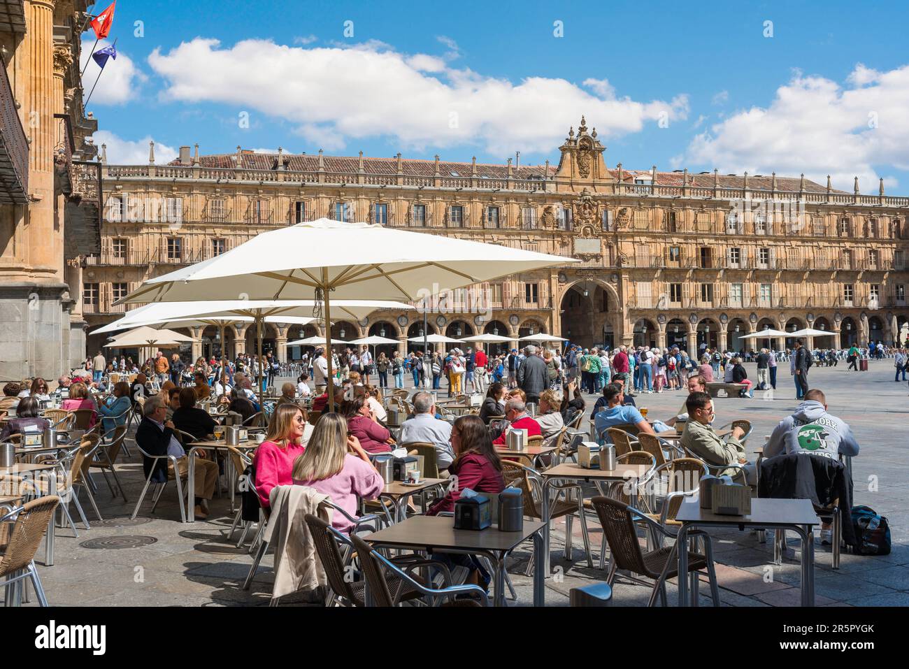 Plaza Mayor Salamanca, view in summer of people relaxing at cafe tables ...