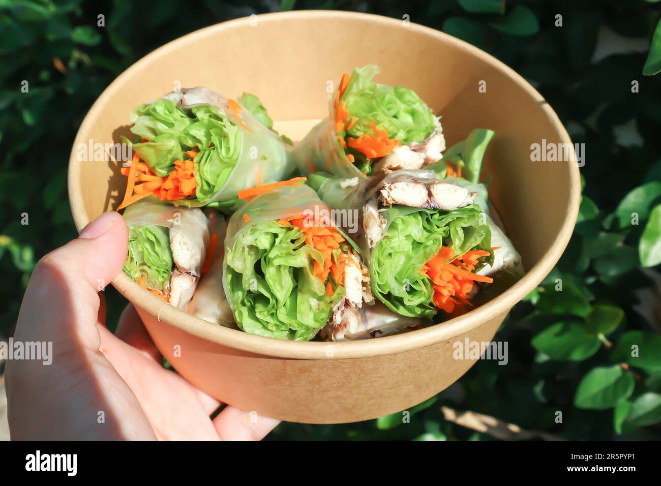 mackerel rolls, fish rolls or vegetable rolls or fresh spring rolls in ...