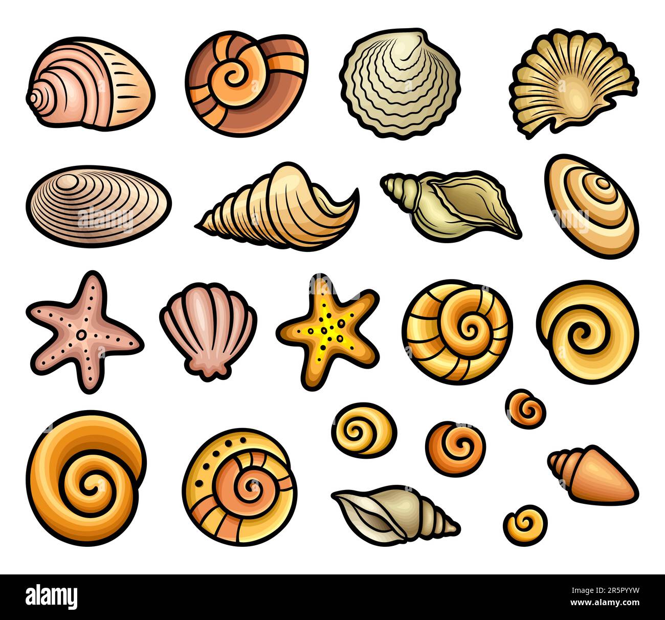 Cartoon set of cute doodle shells. Summer beach vector funny ...