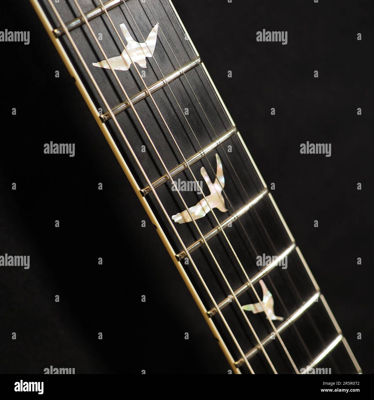 Bird inlays on the fingerboard of a Paul Reed Smith Custom 24 guitar ...