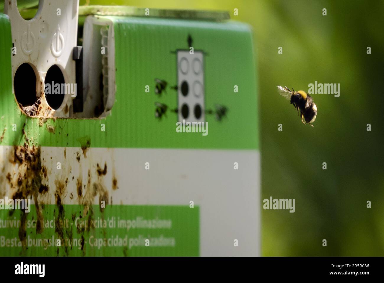 DEIL - Nest boxes for bumblebee colonies in a cherry orchard at a fruit ...