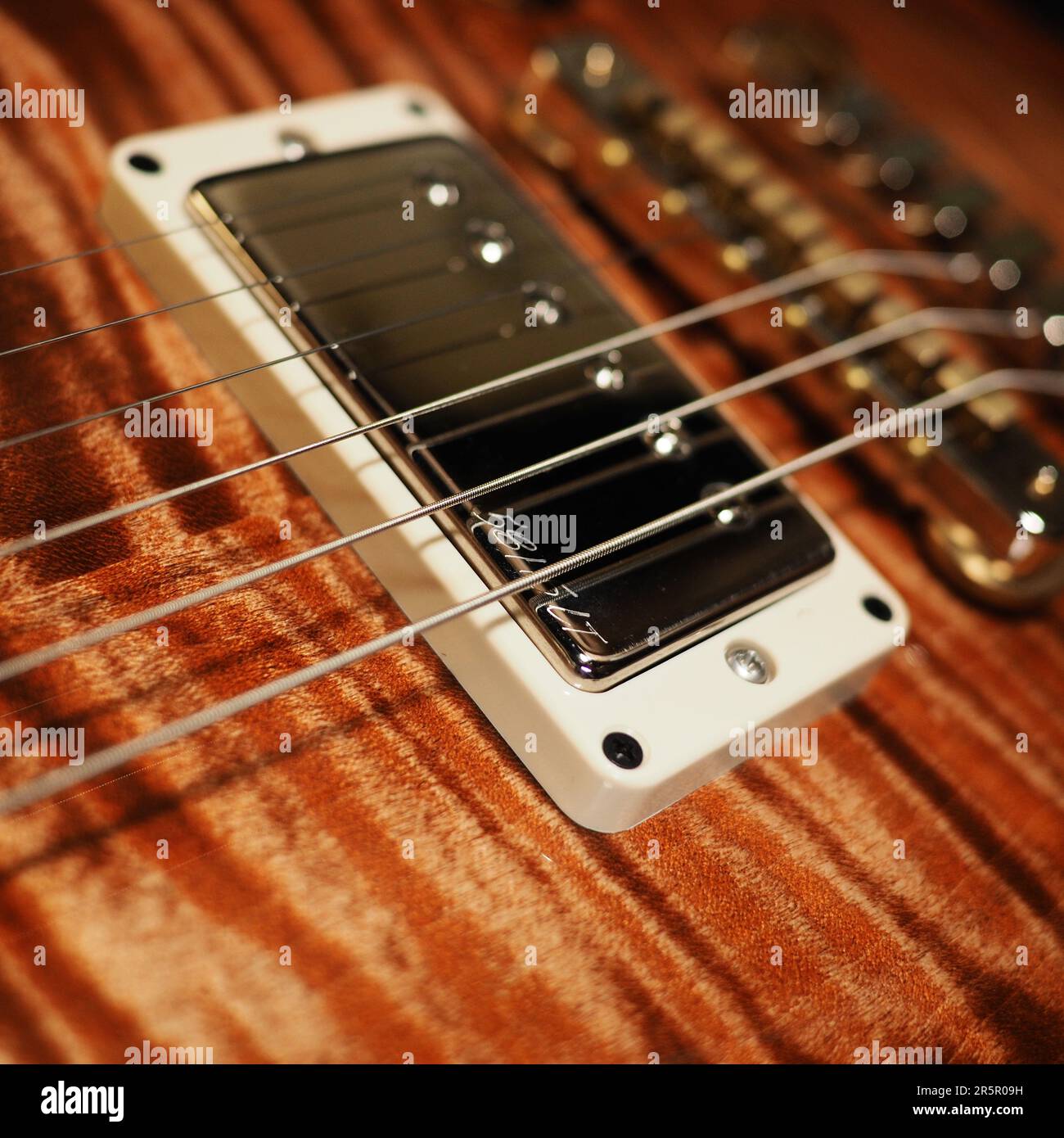 Humbucker Pickup on a Paul Reed Smith Custom 24 guitar with flame maple ...