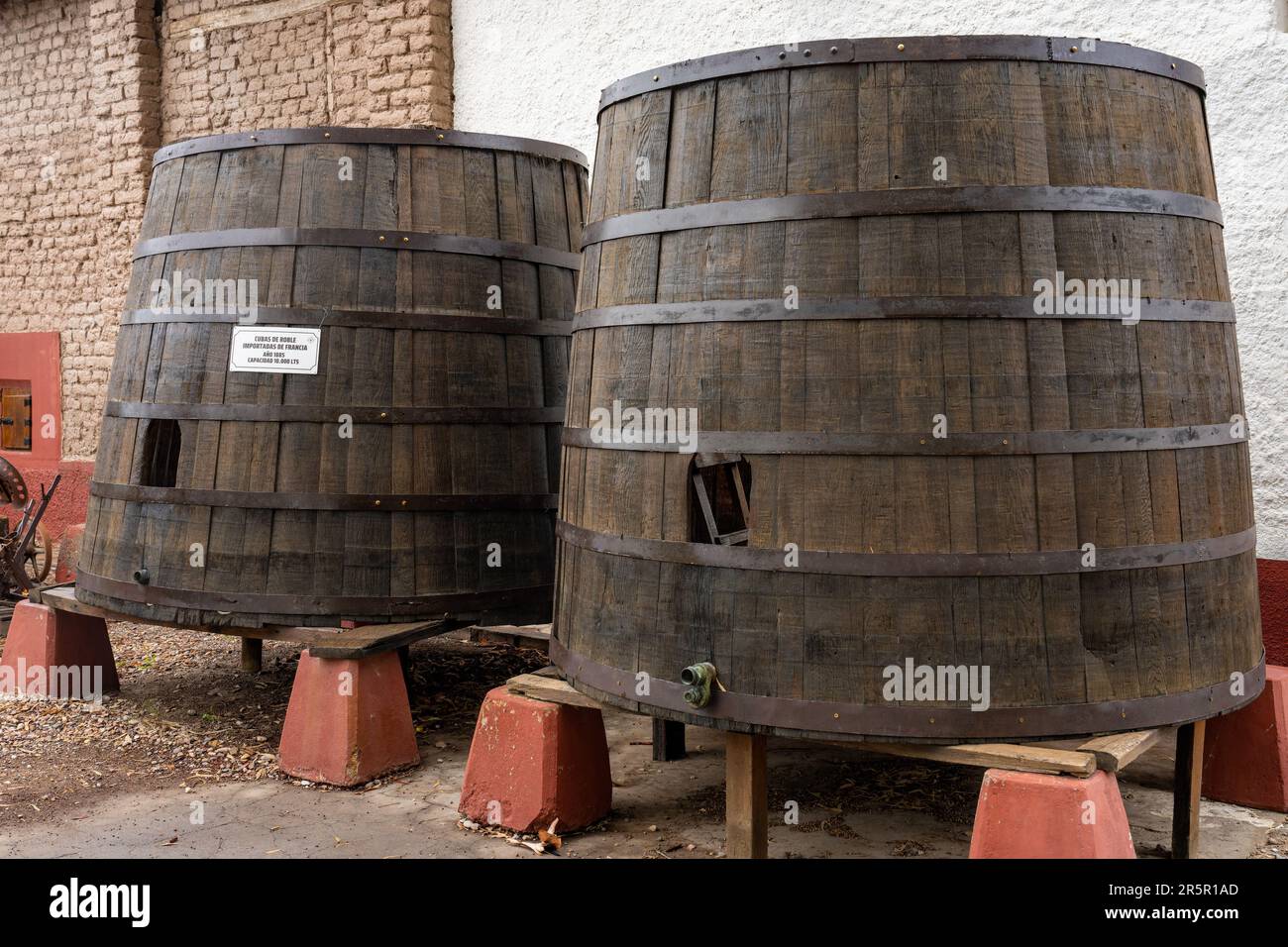 10,000 liter oak wine casks imported from France in the 1880s at La ...