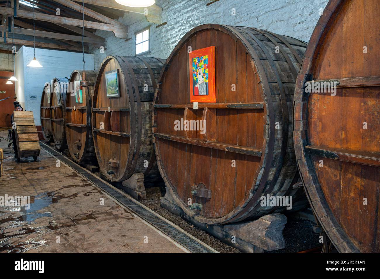 A worker moves a load of large wine bottles past large oaken wine ...