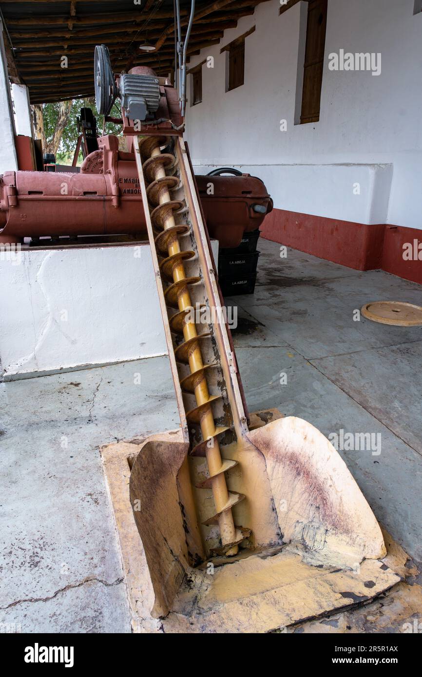 A vintage helical auger pump for moving grapes into the crusher at La ...