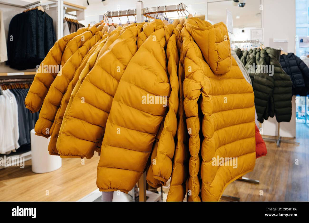 Fashion Business - winter clothing displayed in an organized fashion in ...
