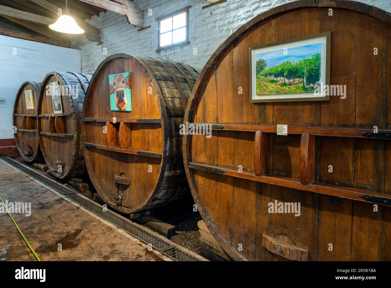 Large oaken wine barrels at La Abjea Winery, San Rafael, Argentina. La ...