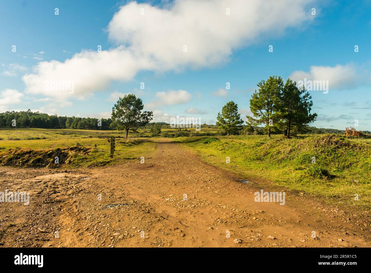 A view of the Parque Natural Municipal da Ronda (Ronda Municipal ...