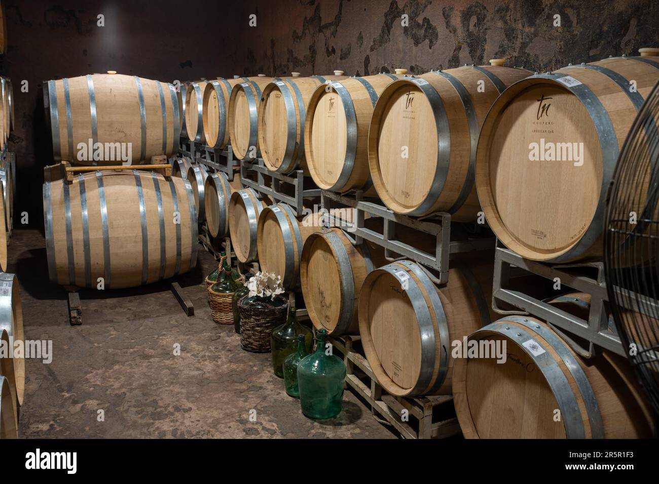 Oaken wine barrels at La Abjea Winery, San Rafael, Argentina. La Abeja ...