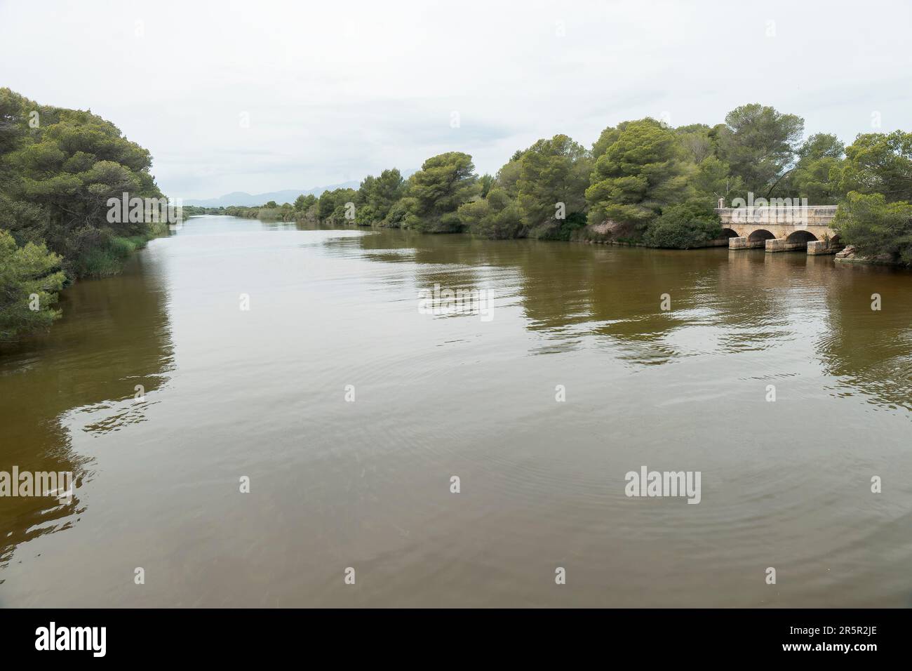 view of canal at S’Albufera reserve, Albufera, Mallorca, Spain, 30 May ...