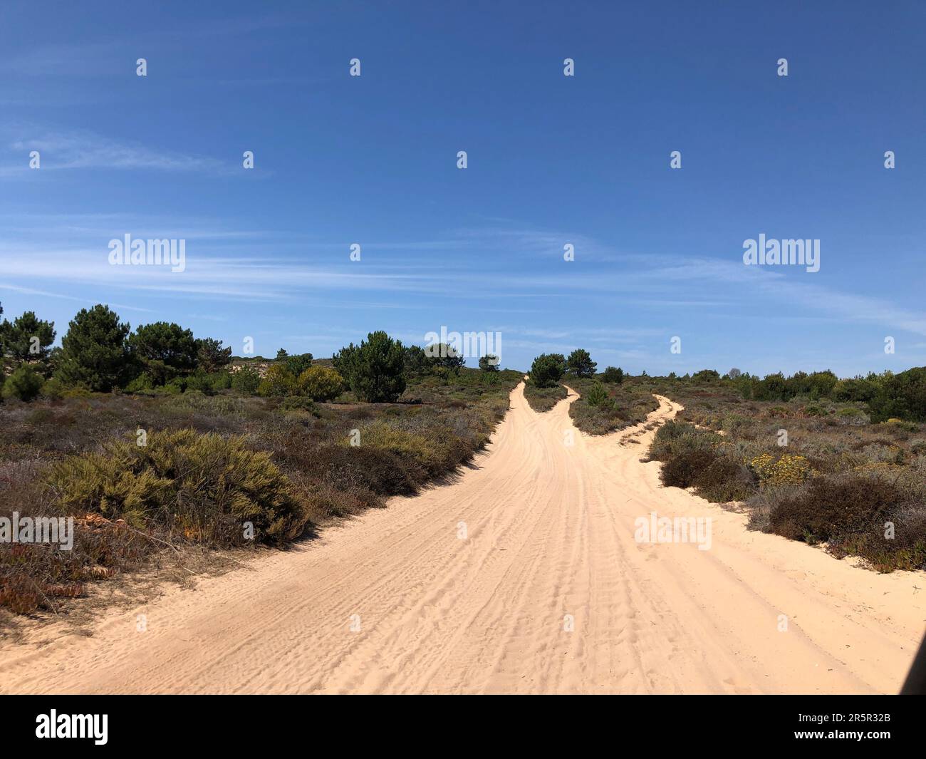 A scenic view of an empty dirt sandy road surrounded by shrubs and ...
