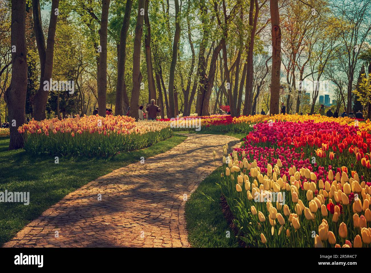 Emirgan Park, Istanbul Stock Photo - Alamy