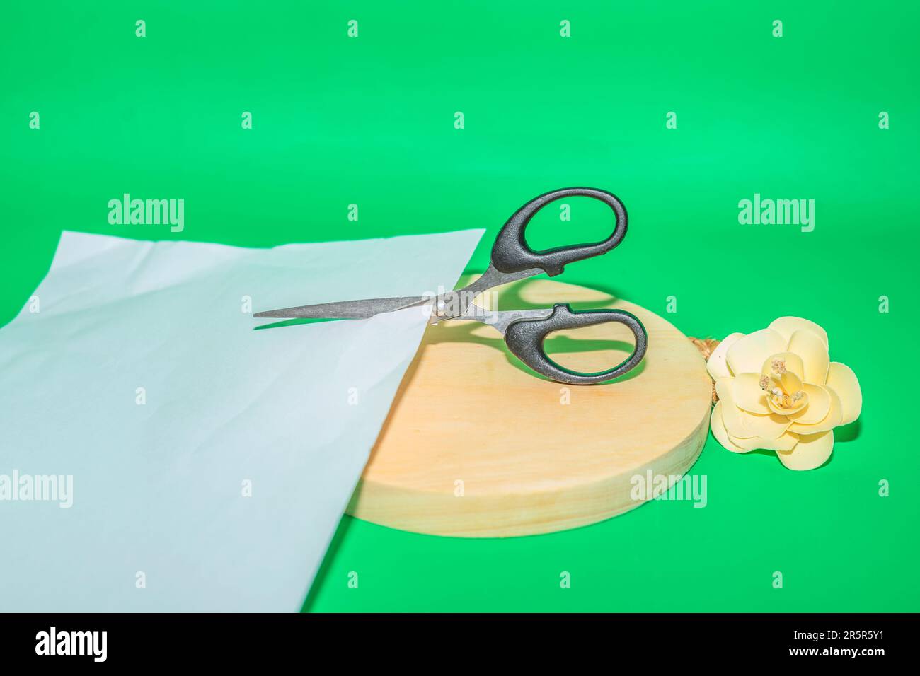 The Black Handle Scissors are a stylish and versatile tool for all your ...