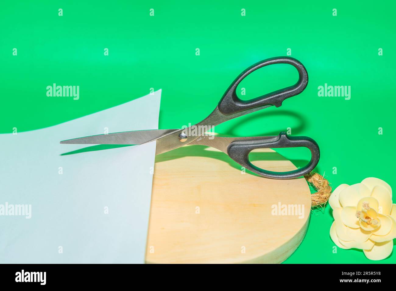 The Black Handle Scissors are a stylish and versatile tool for all your ...