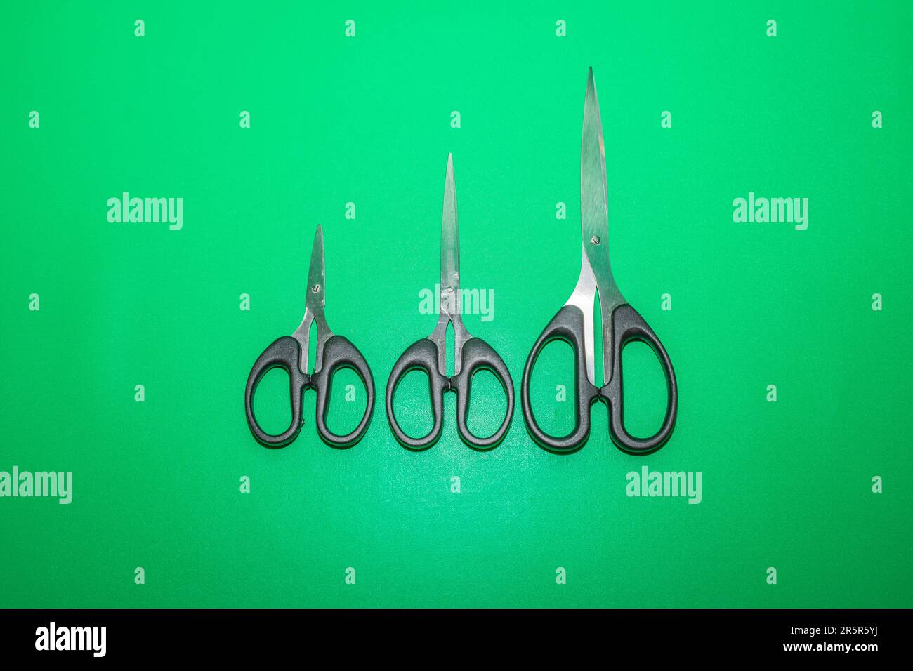 The Black Handle Scissors are a stylish and versatile tool for all your ...