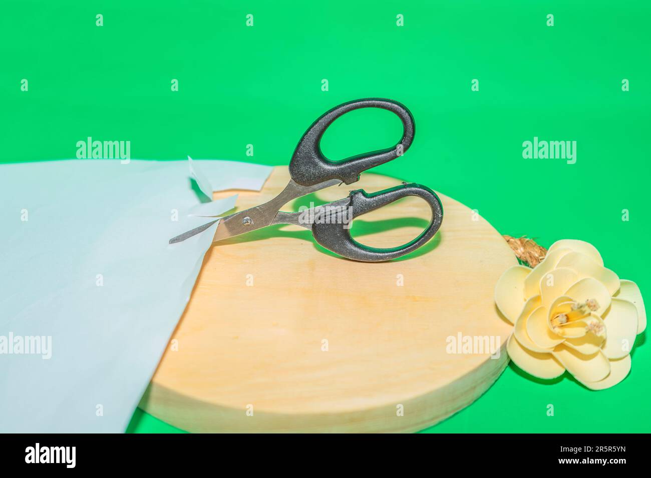 The Black Handle Scissors are a stylish and versatile tool for all your ...