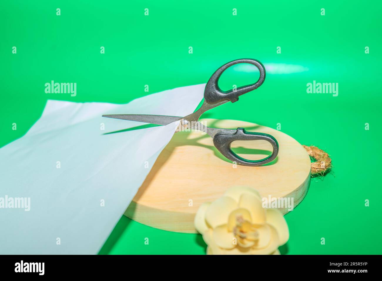 The Black Handle Scissors are a stylish and versatile tool for all your ...