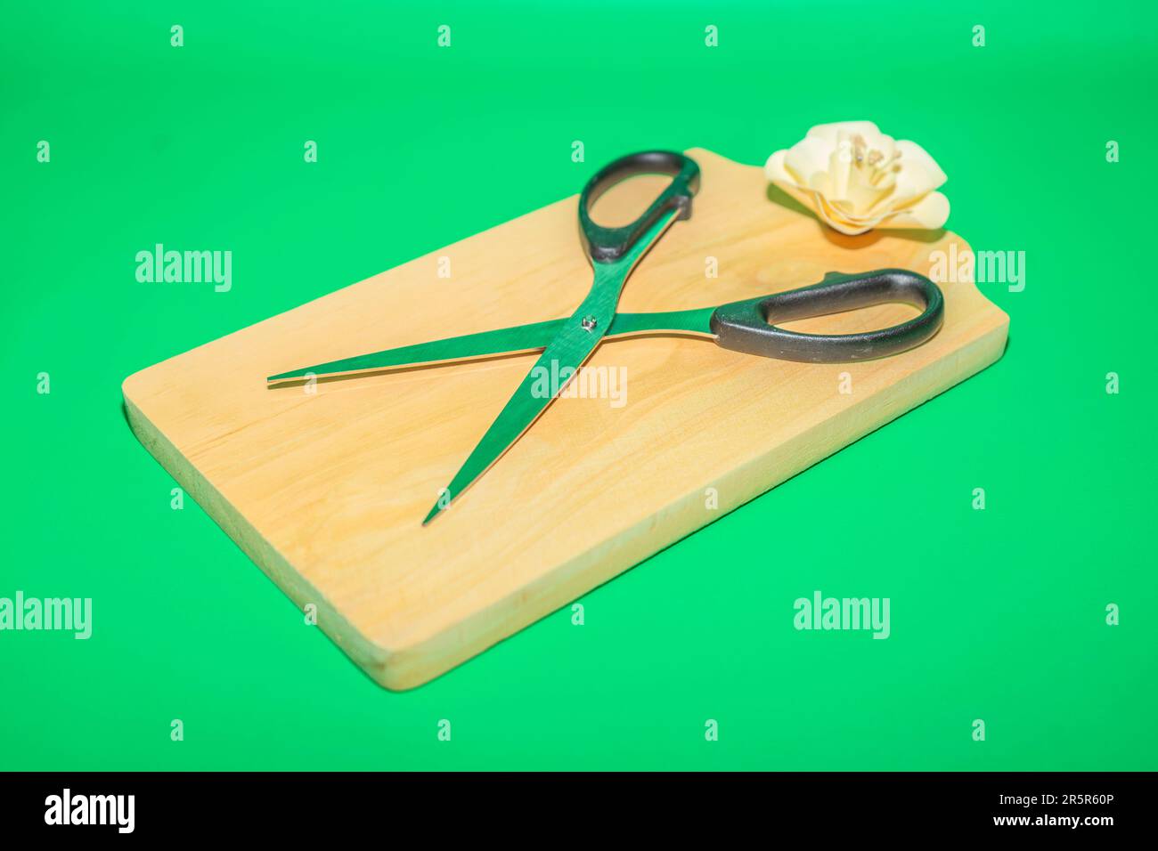 The Black Handle Scissors are a stylish and versatile tool for all your ...