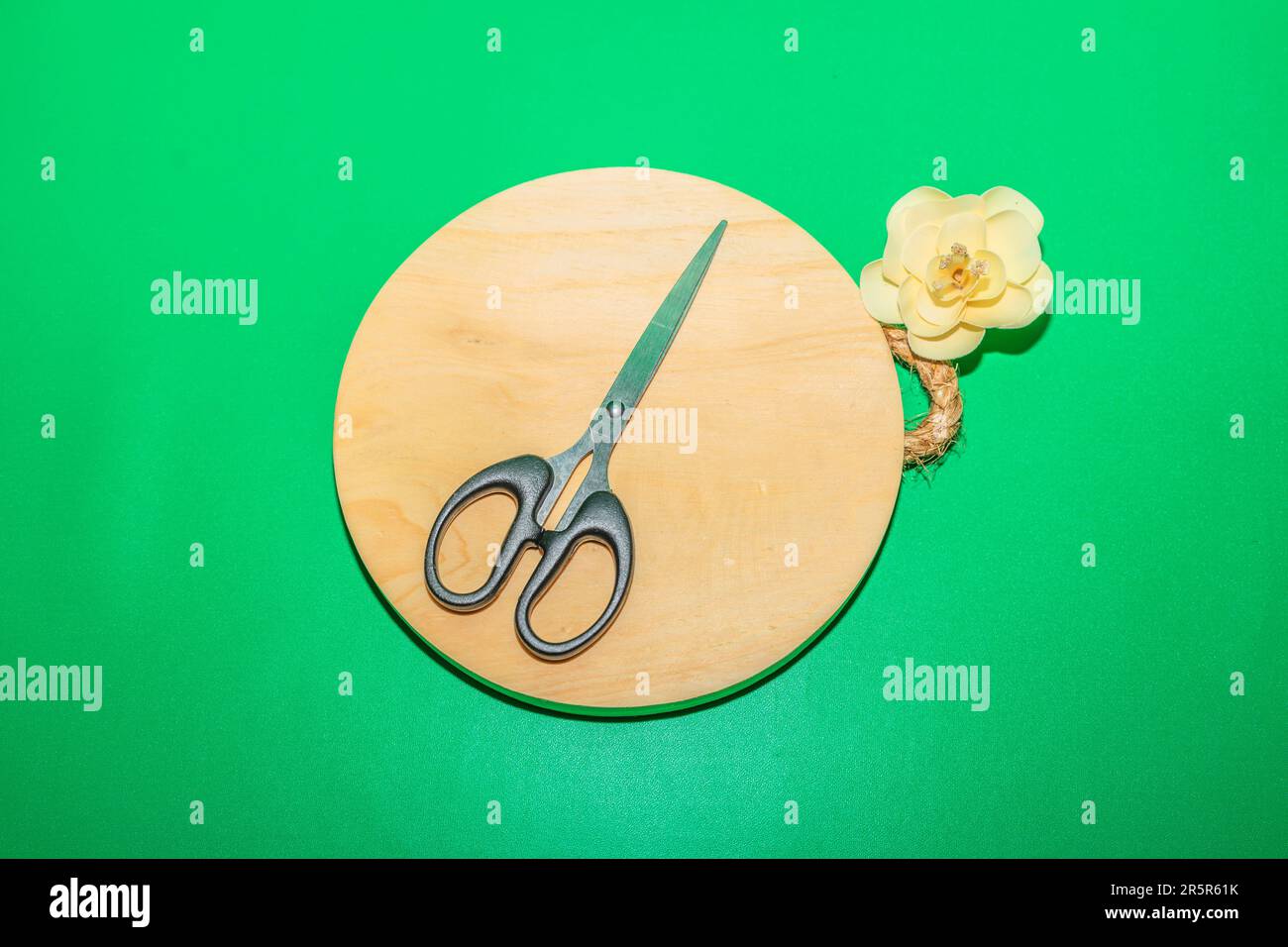 The Black Handle Scissors are a stylish and versatile tool for all your ...