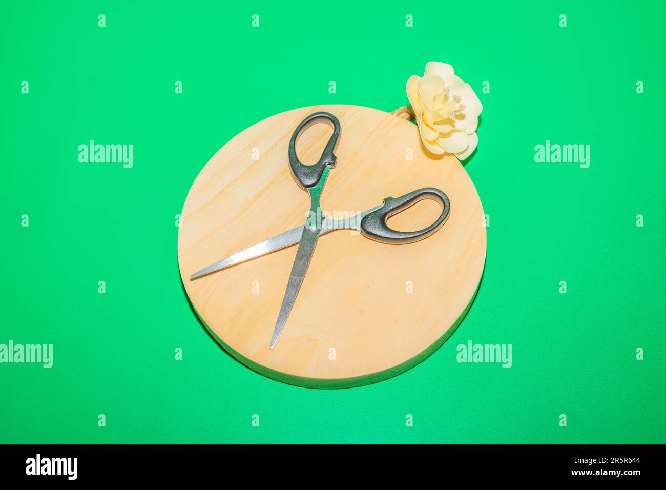 The Black Handle Scissors are a stylish and versatile tool for all your ...