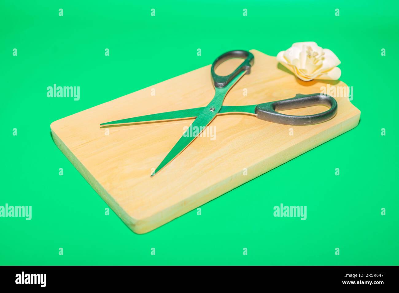 The Black Handle Scissors are a stylish and versatile tool for all your ...