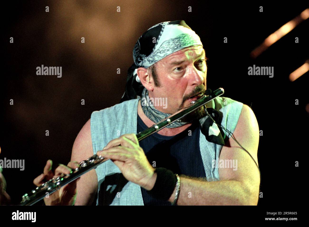 Jethro tull at the castle hi-res stock photography and images - Alamy