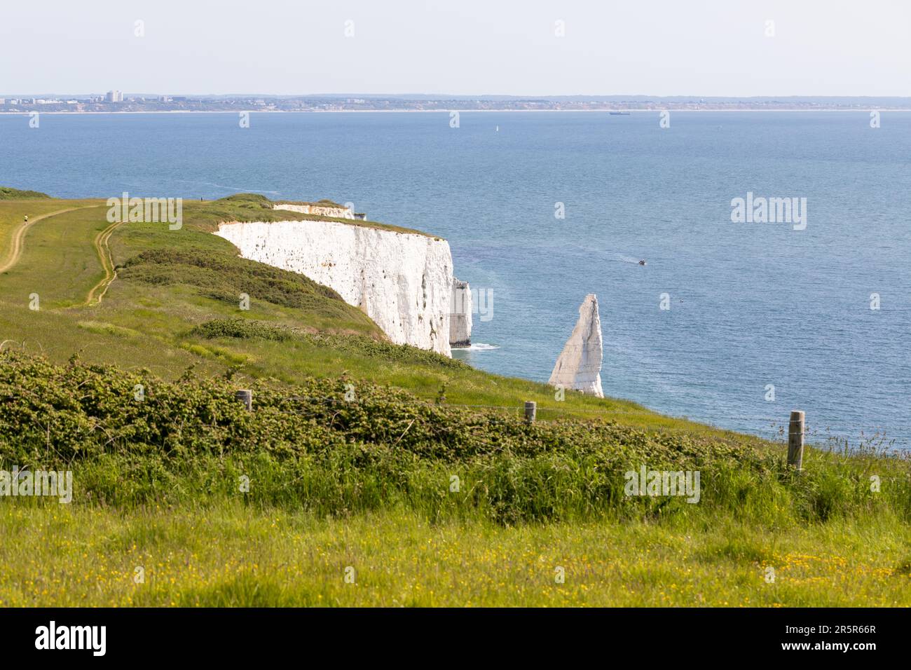View of Old Harry Rocks from Ballard Down on the Jurassic Coast, Dorset ...